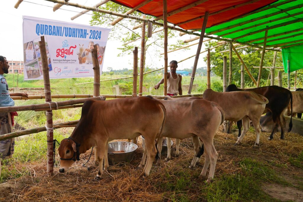 Rules of Cow Qurbani The Big Heart of Qurbani | BASMAH